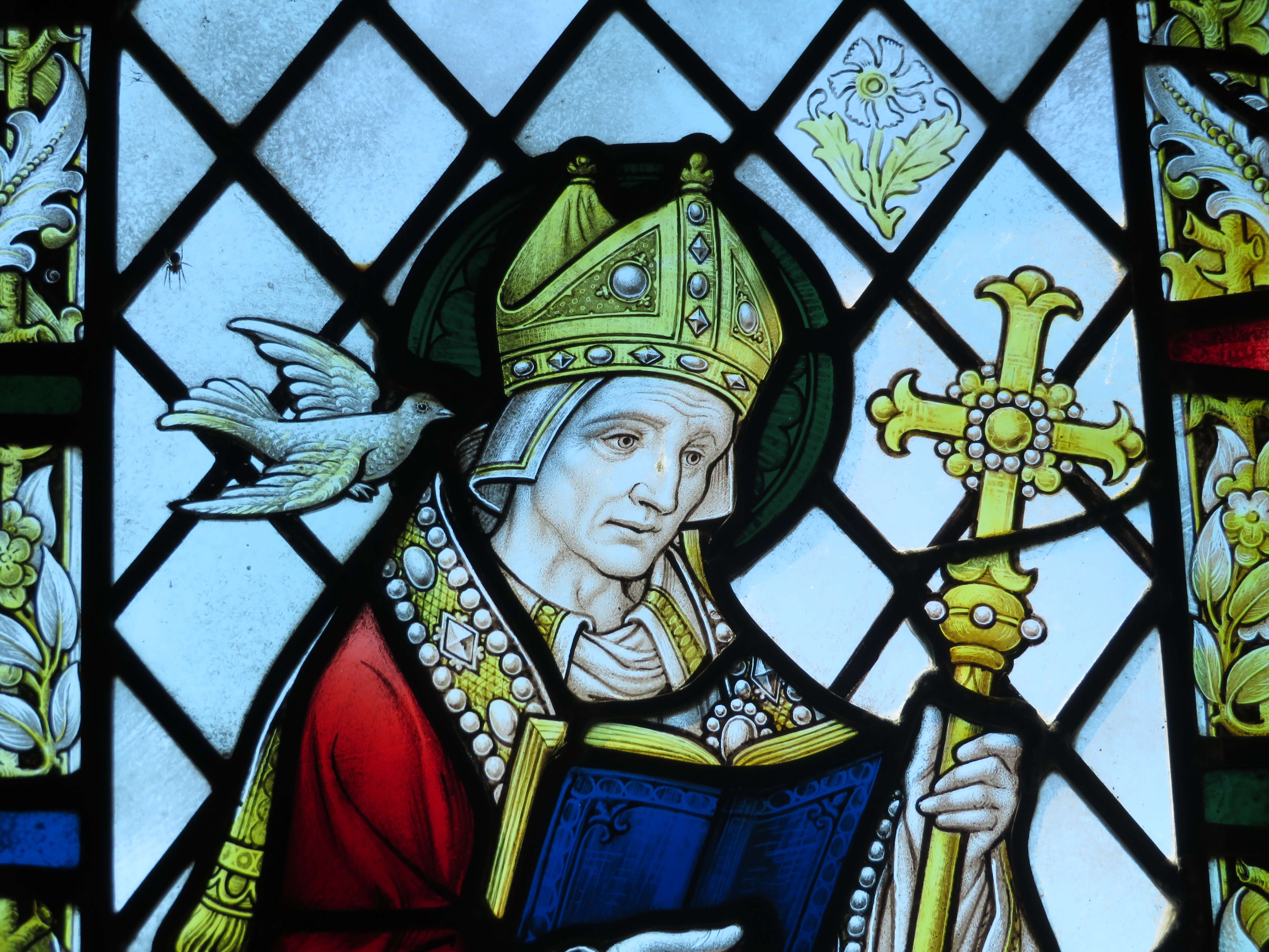 Happy Saint David’s Day – Tracey Warr Writing